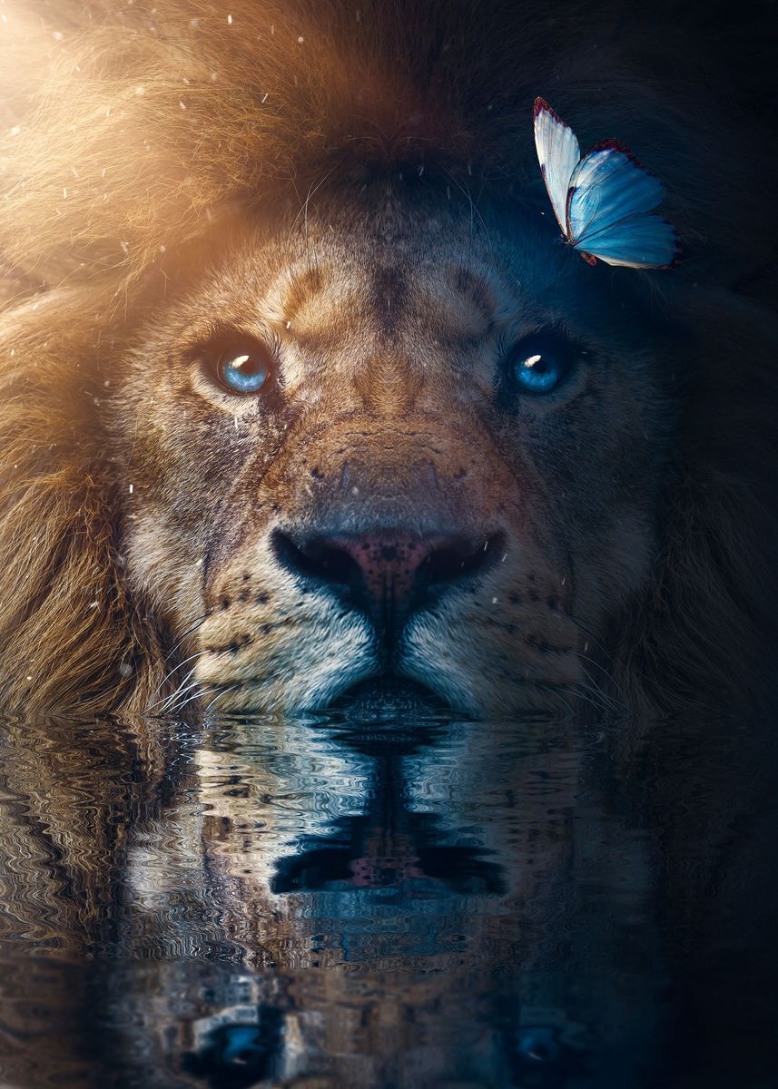 'lion with butterfly art ' Poster, picture, metal print, paint by mk ...