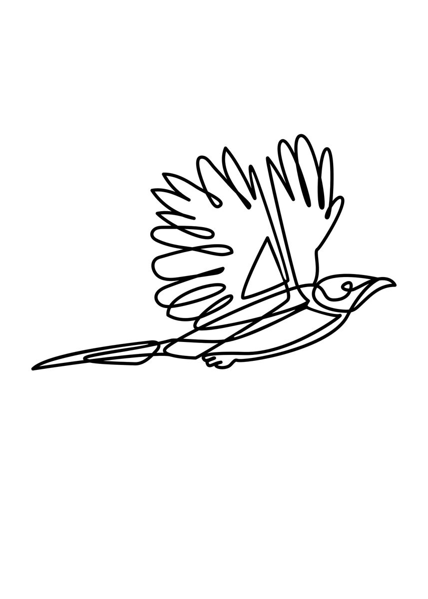 'Bird Line Art Black White' Poster by Andrea Guenther | Displate