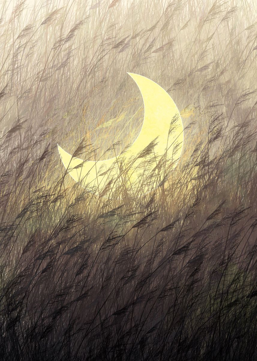 'Inspiring moon' Poster, picture, metal print, paint by Diego V | Displate