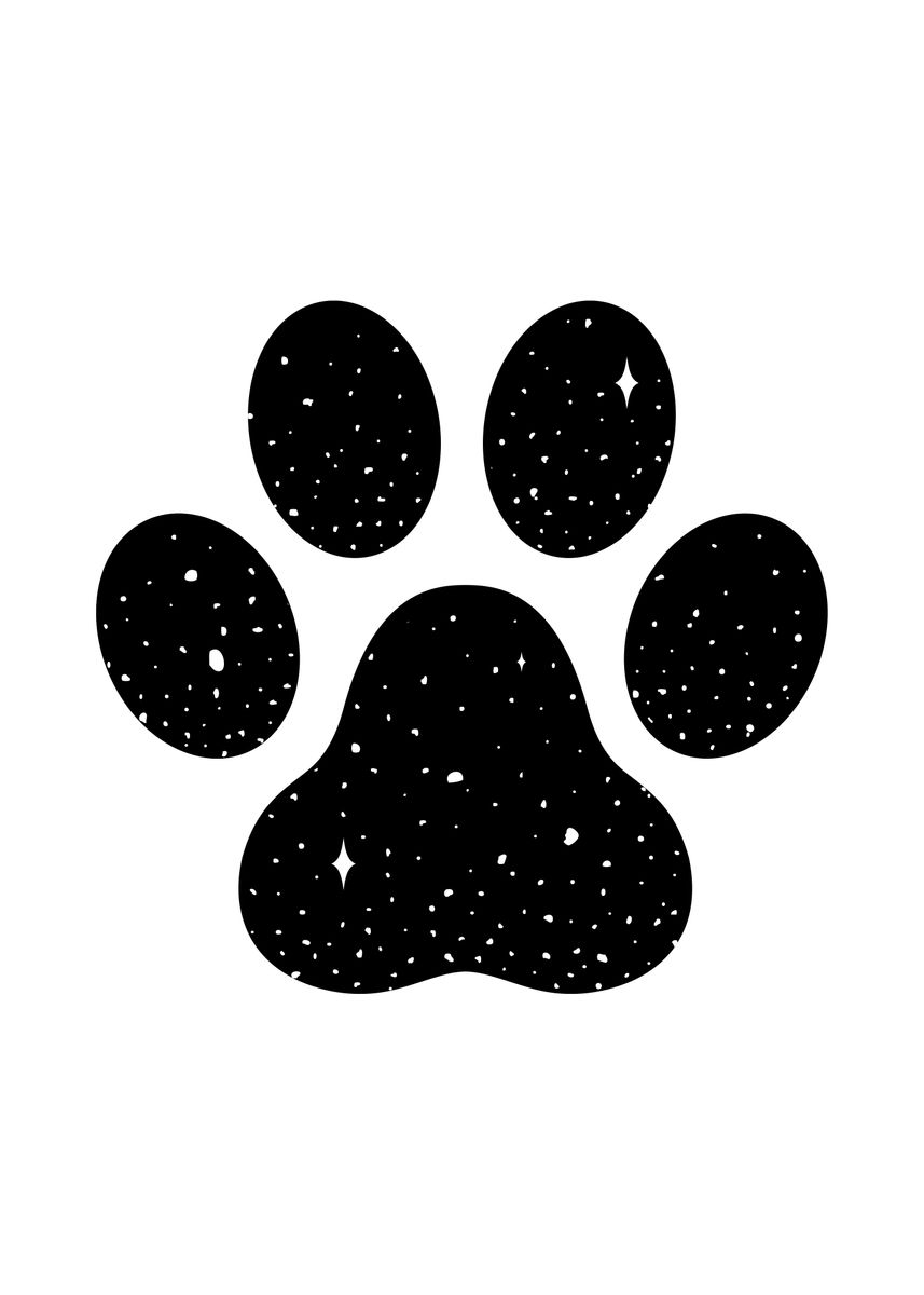 'Cat Star' Poster, picture, metal print, paint by The Matrix | Displate