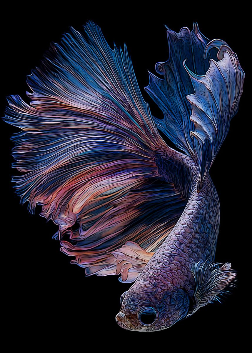 'Betta Fish' Poster, picture, metal print, paint by Bleesing Studio ...