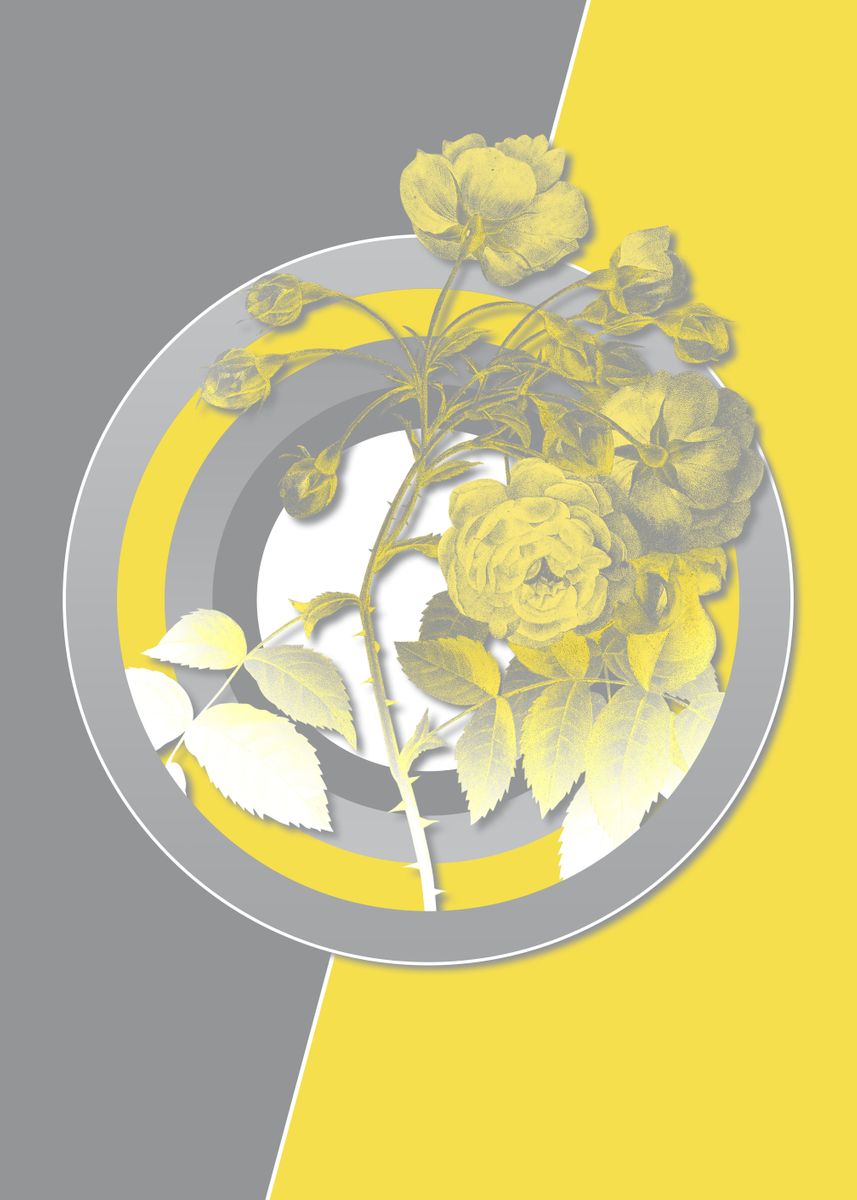 'Adelia in Yellow and Gray' Poster, picture, metal print, paint by Holy ...