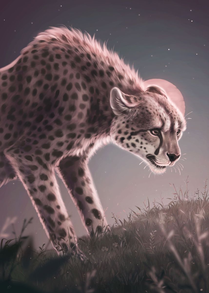 'Cheetah Sunset' Poster by Lucy Sommer | Displate