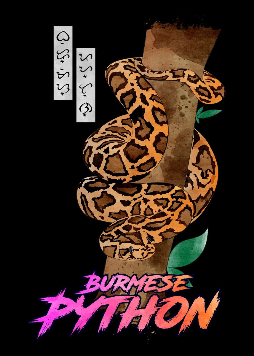 'Burmese Python' Poster, picture, metal print, paint by Thor Reyes ...
