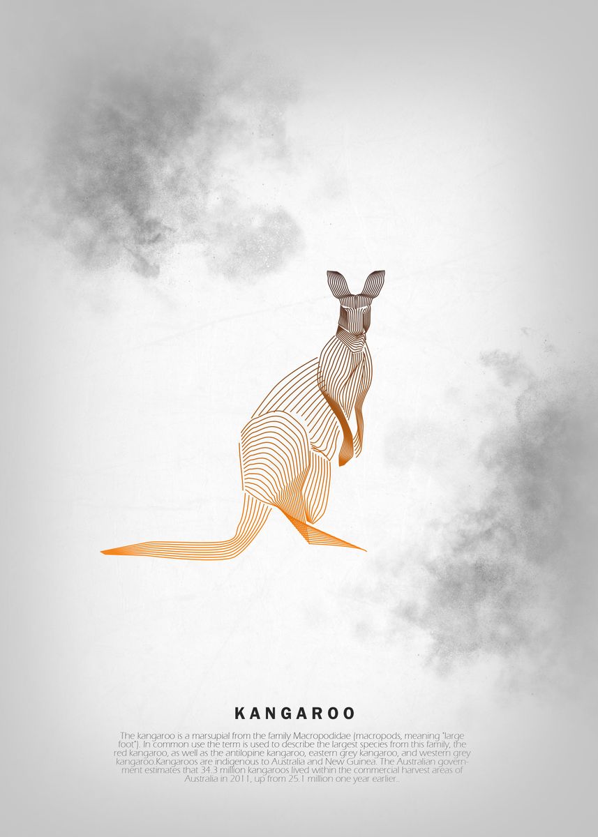 'Kangaroo' Poster, picture, metal print, paint by Tijana Cvetkovic ...