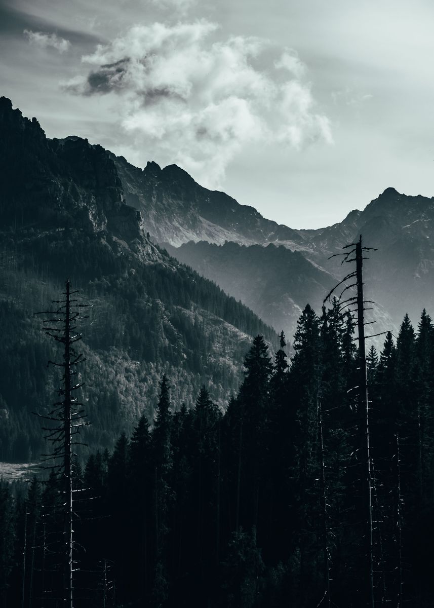 'Sunrise in the valley' Poster by Adam Stolarczyk | Displate