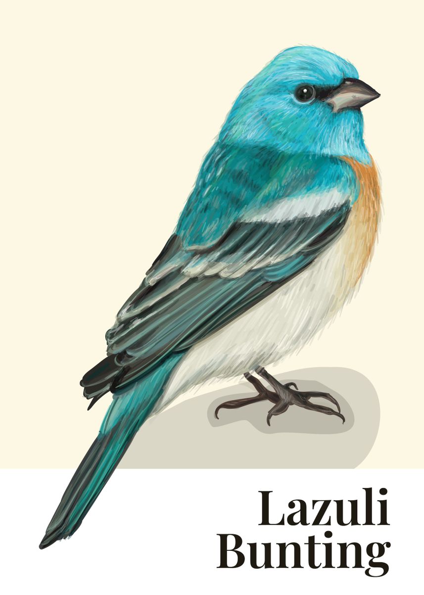 'Lazuli Bunting Bird' Poster, picture, metal print, paint by Human ...