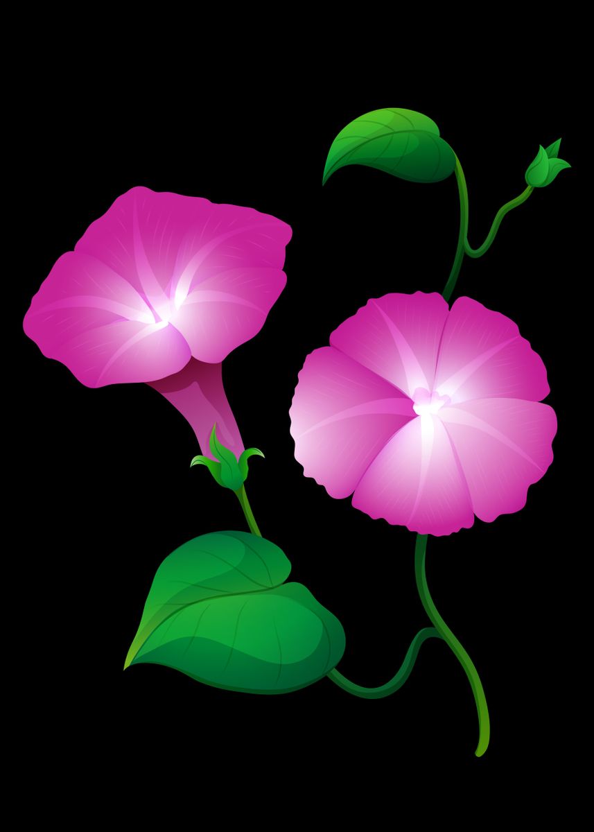 'flower in pink ' Poster by Queensy Collin | Displate