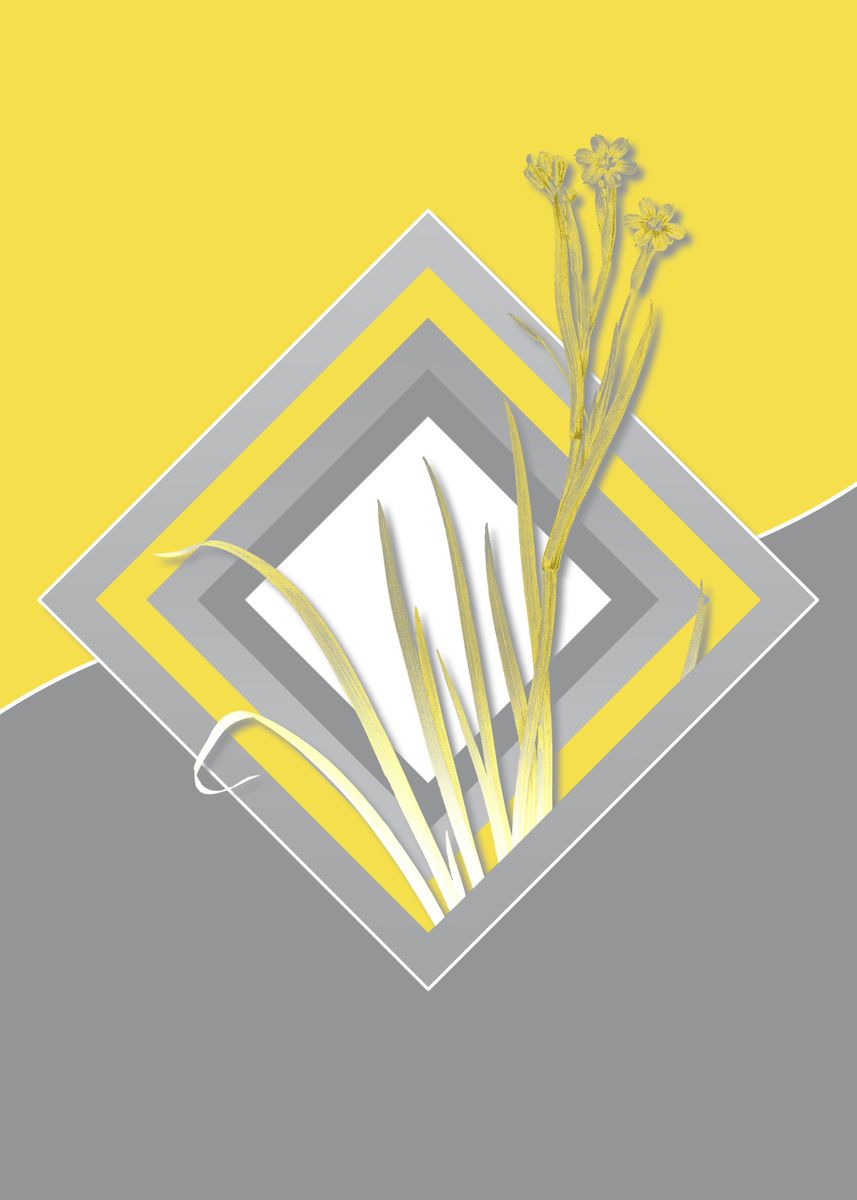 'Yellow and Grey Bermudiana' Poster, picture, metal print, paint by ...