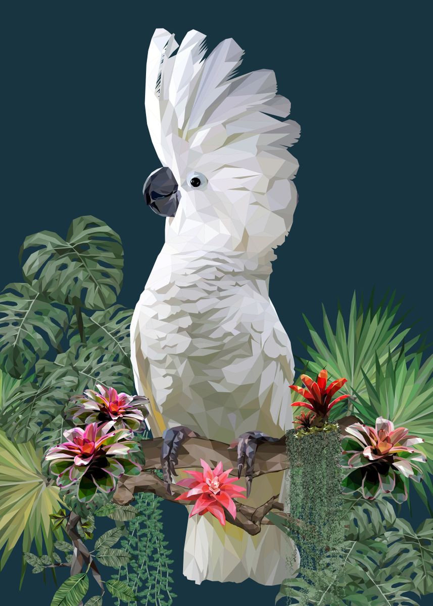'Cockatoo bird ' Poster, picture, metal print, paint by Queensy Collin ...