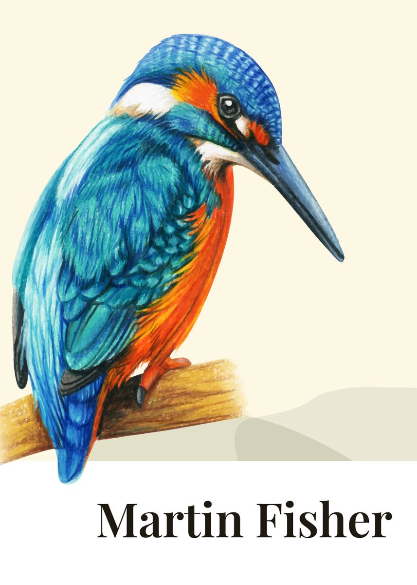 'Martin Fisher Bird' Poster, picture, metal print, paint by Human ...