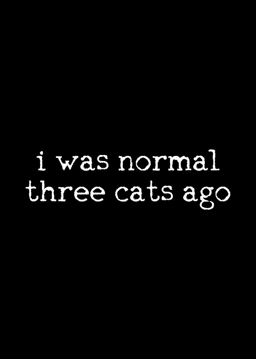 'Cats Cat Owner' Poster, picture, metal print, paint by Mealla | Displate