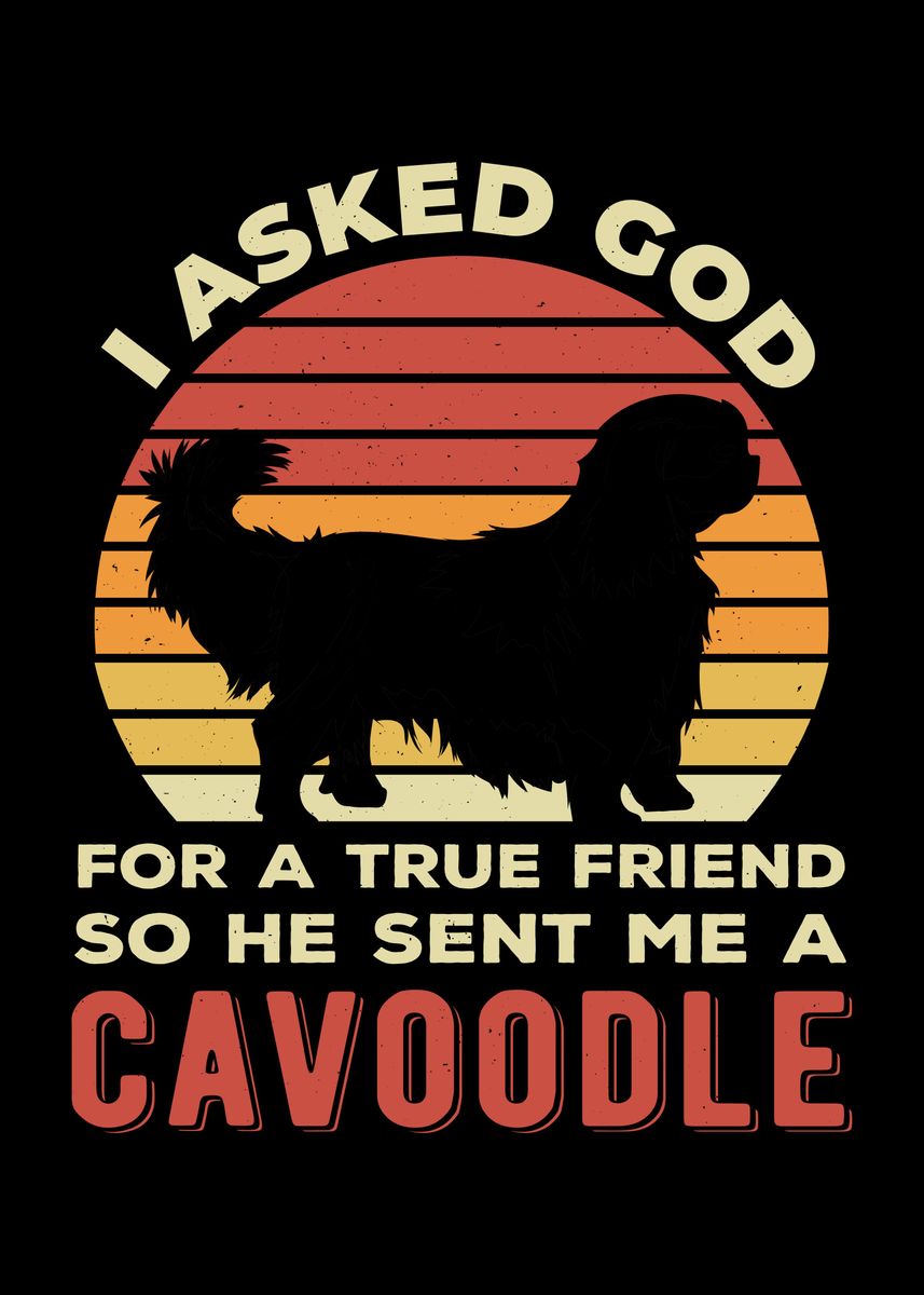 'Funny Cavoodle Quote' Poster, picture, metal print, paint by Visualz ...