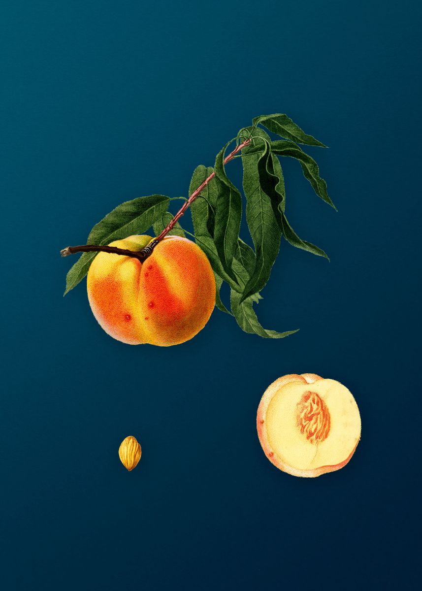 'Vintage Peach Fruit Poster' Poster by Holy Rock Design | Displate