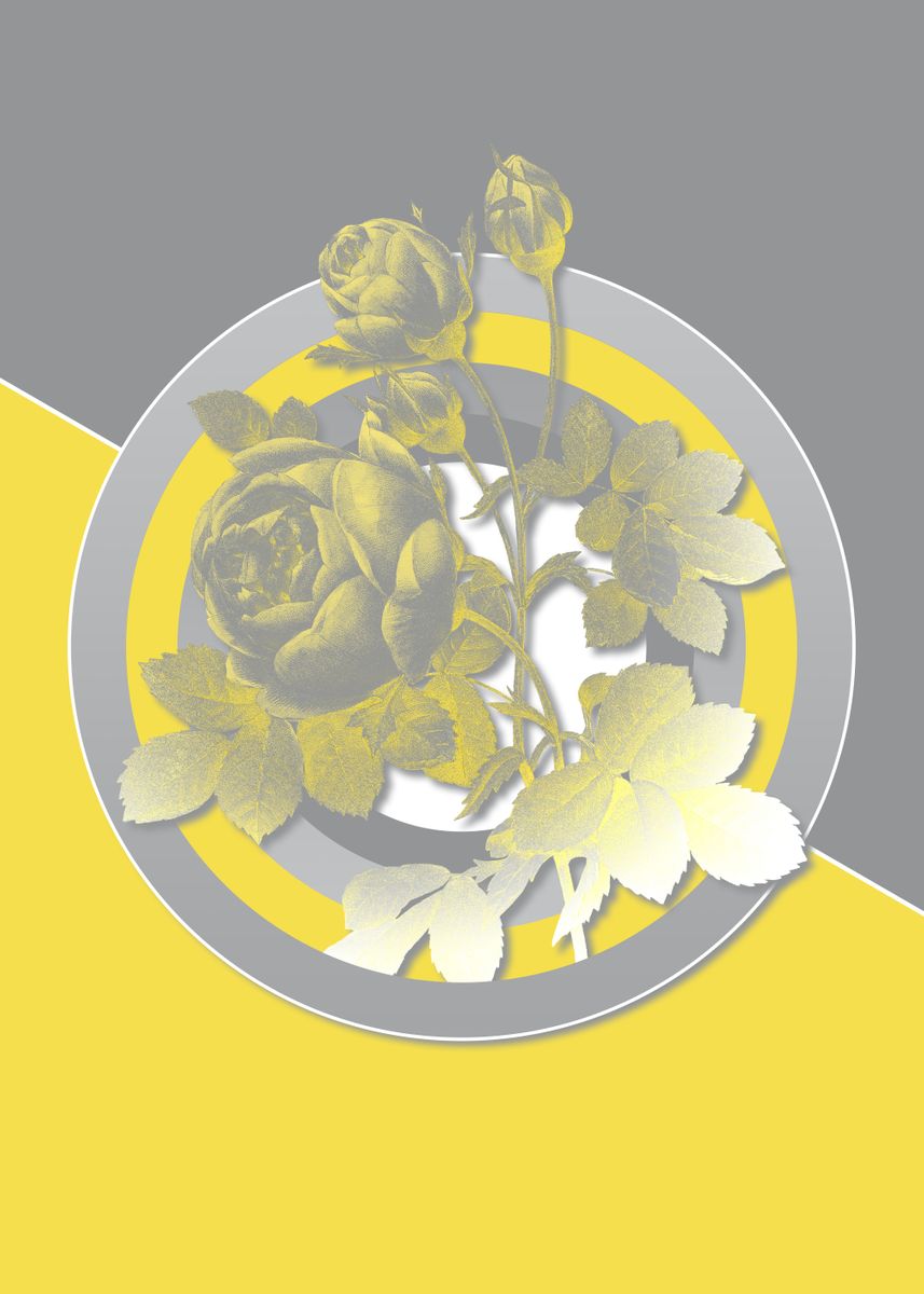 'Gray and Yellow Rose Art' Poster by Holy Rock Design | Displate