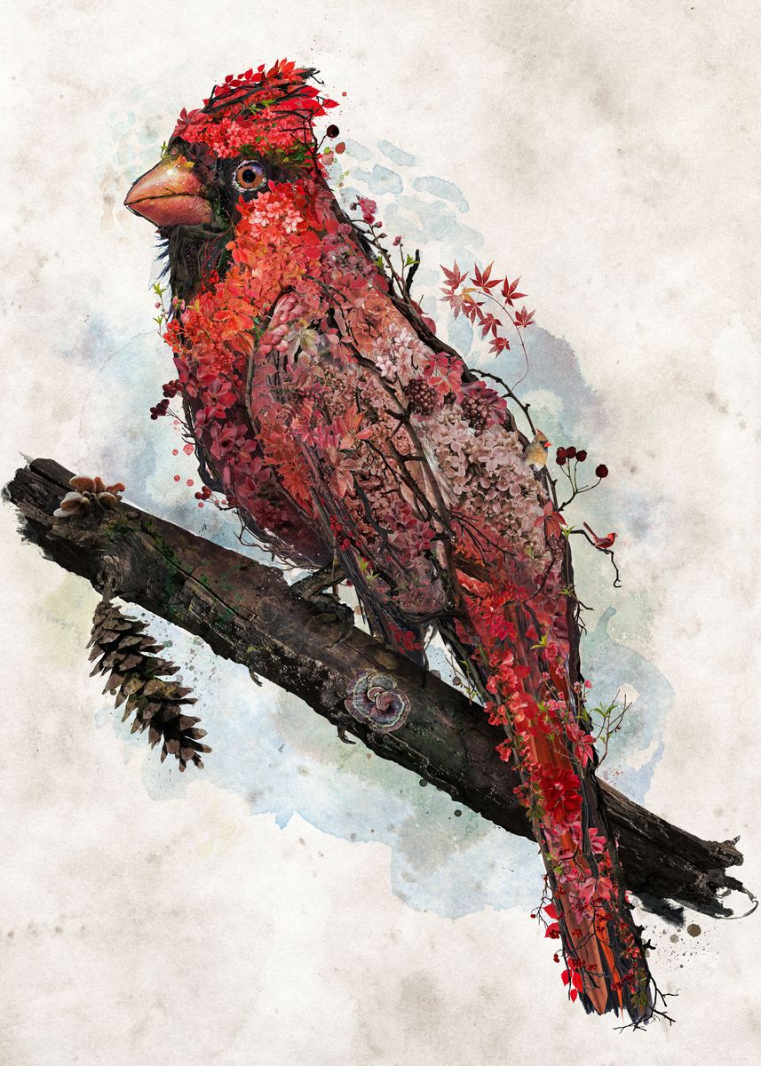 'Northern Cardinal' Poster, picture, metal print, paint by Barrett ...