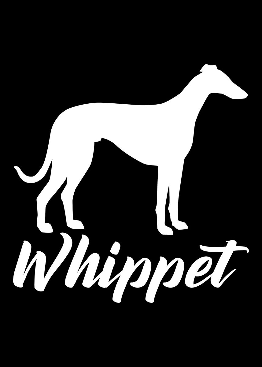 'Whippet' Poster by Designzz | Displate