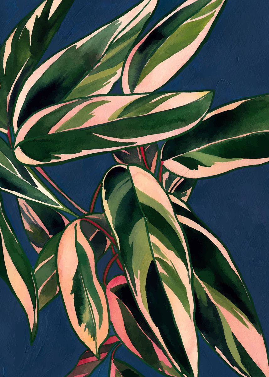'Calathea Plant 2' Poster, picture, metal print, paint by Gush Art ...