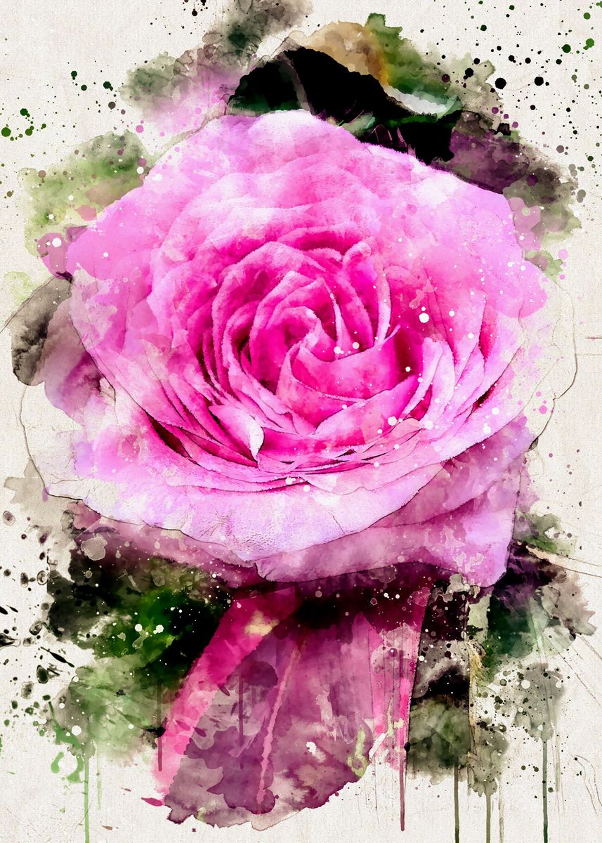 'Watercolour Pink Rose' Poster, picture, metal print, paint by Xenia ...