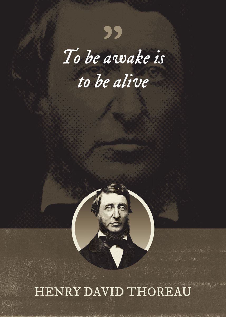 'To be awake is to be alive' Poster, picture, metal print, paint by ...