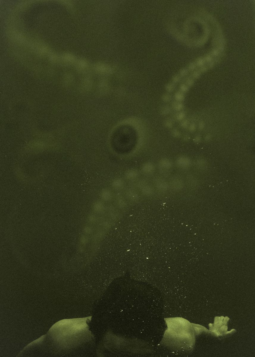 'The Glimpse' Poster, picture, metal print, paint by Artistic Leads ...