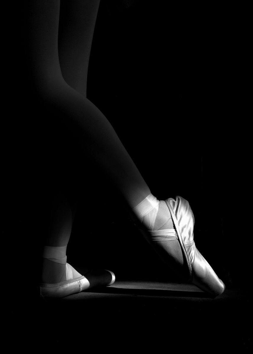 'Ballet Shoes' Poster, picture, metal print, paint by World Class ...