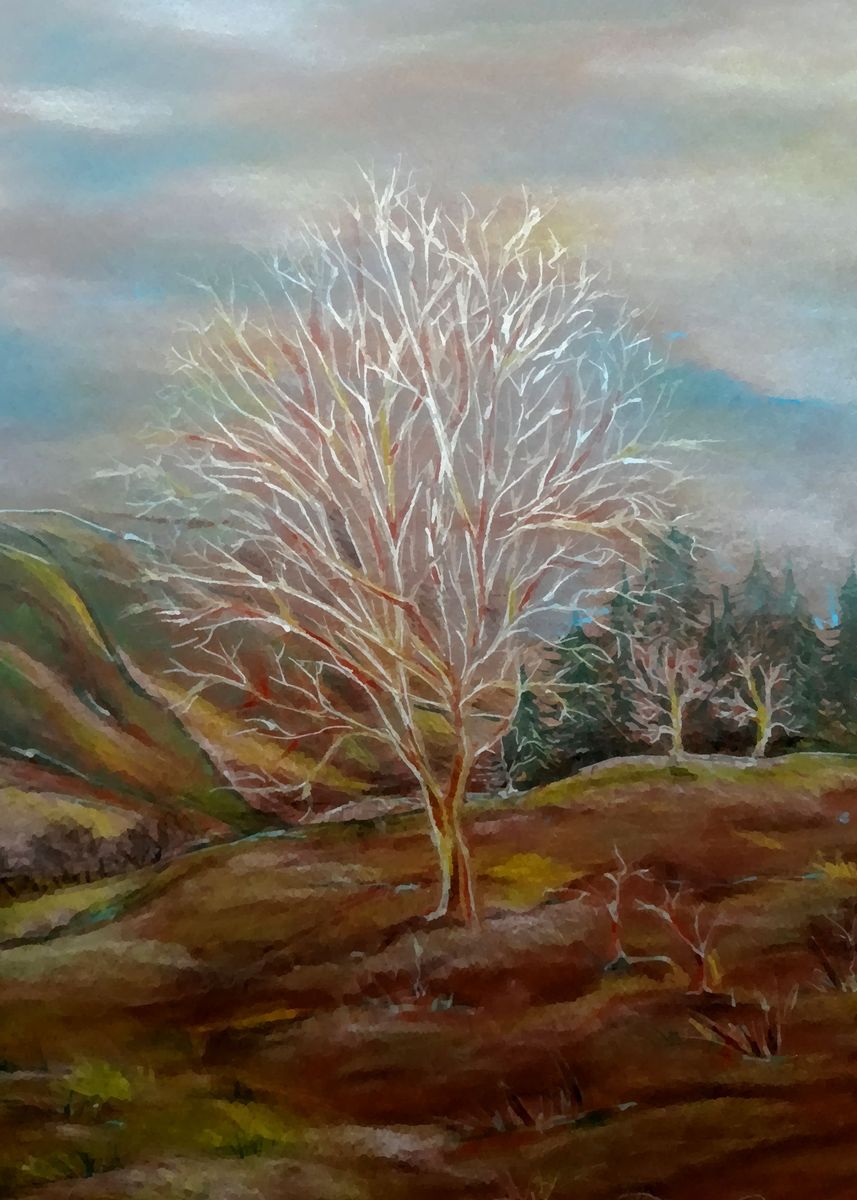 'Winter tree' Poster, picture, metal print, paint by Edy Art Space ...