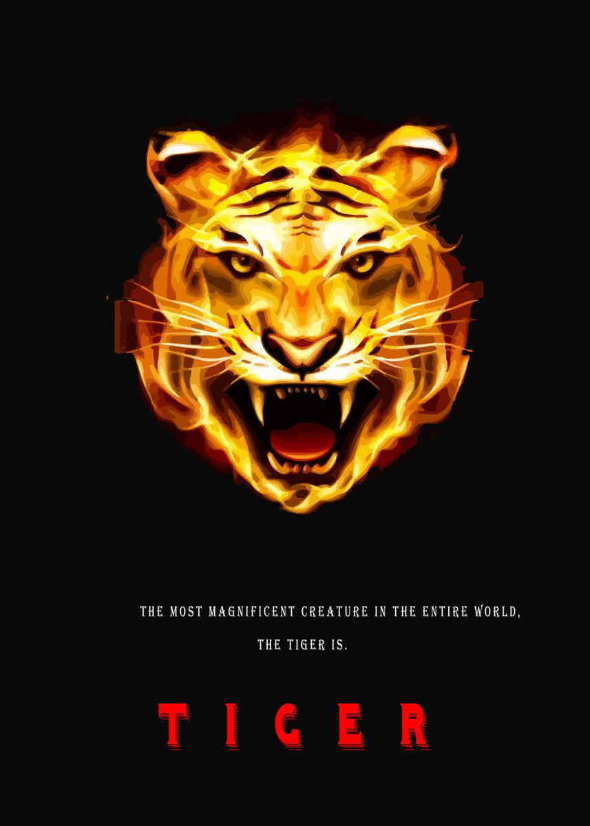 'Tiger ' Poster, picture, metal print, paint by Eirene | Displate