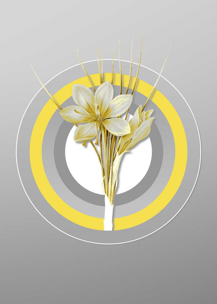 'Gray Autumn Crocus Flower' Poster, picture, metal print, paint by Holy ...