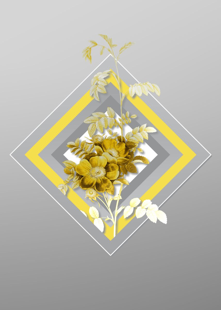 'Gray Alpine Rose Flower' Poster by Holy Rock Design | Displate