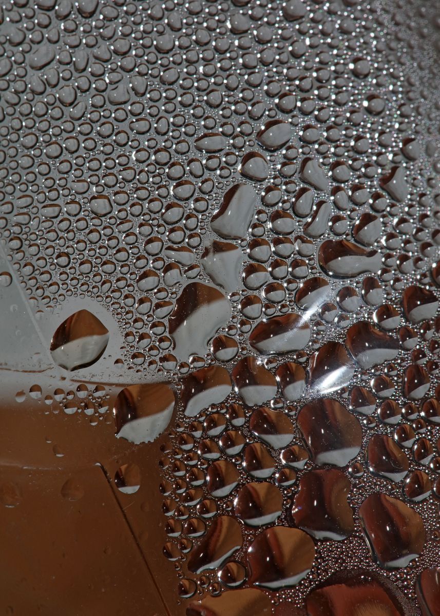 'Water droplets close up' Poster, picture, metal print, paint by ...