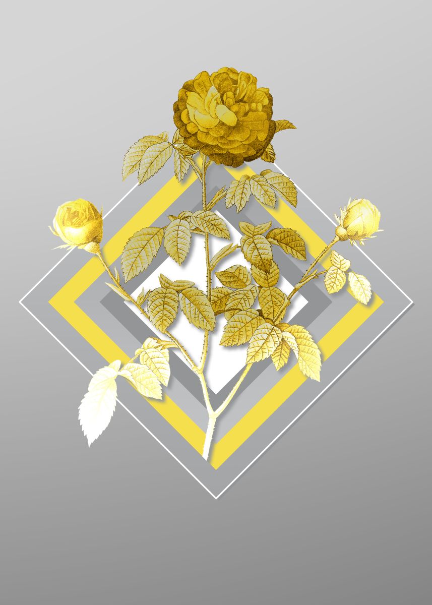 'Gray Agatha Rose Flower' Poster by Holy Rock Design | Displate