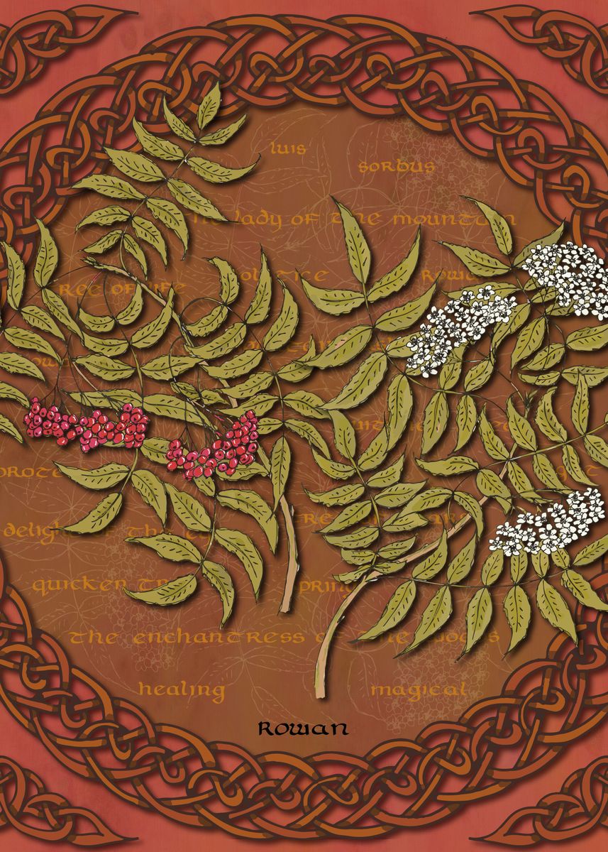 'Celtic Rowan Tree' Poster, picture, metal print, paint by Lotti Brown ...