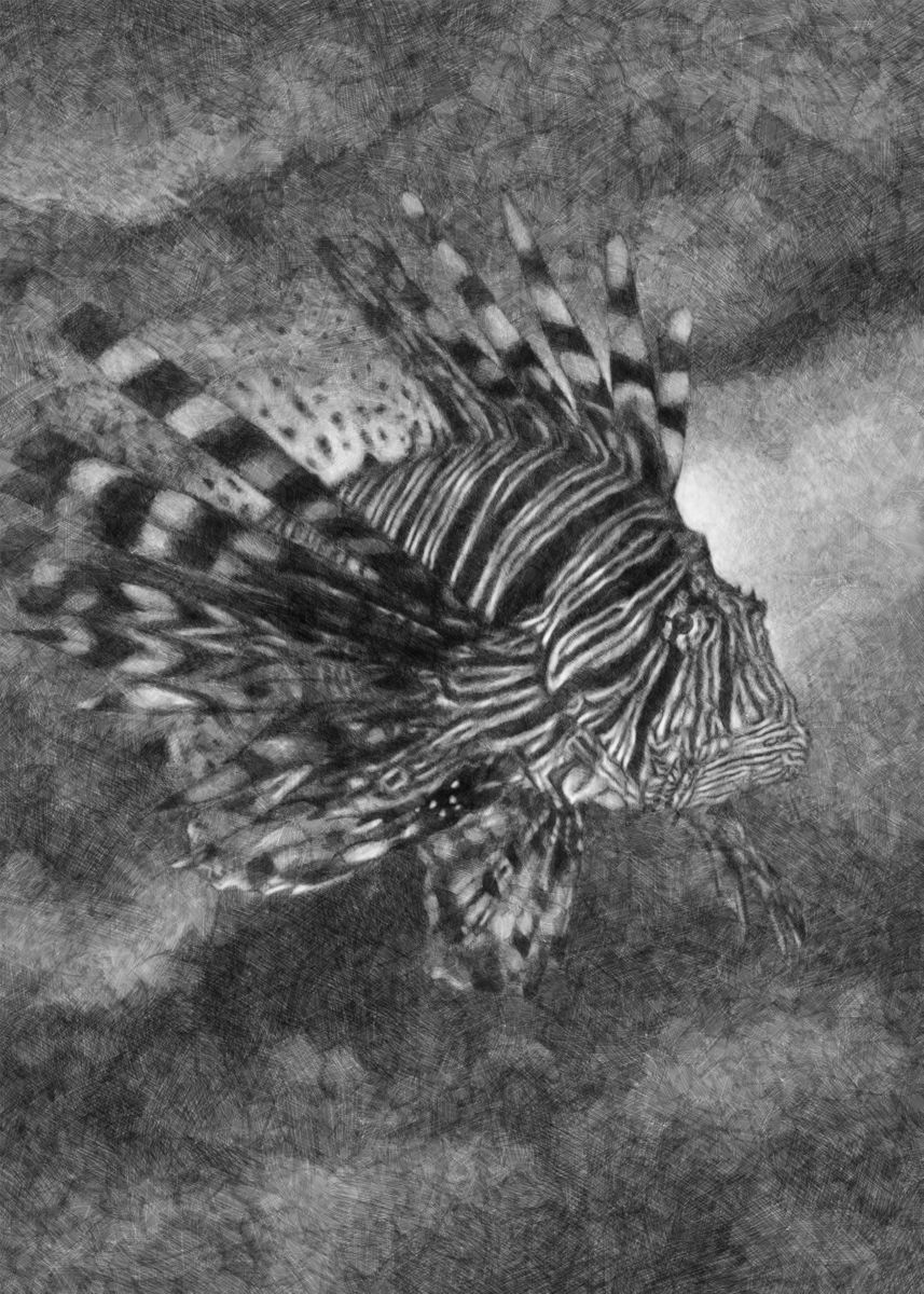 'Lionfish II' Poster by Rekas | Displate