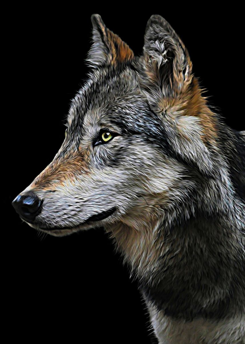 'Lobo' Poster, picture, metal print, paint by Armstrong | Displate