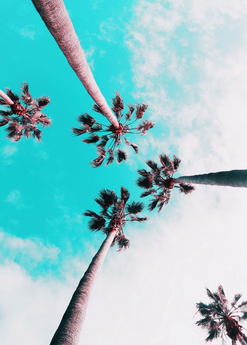'palm trees' Poster by RonnieArts | Displate