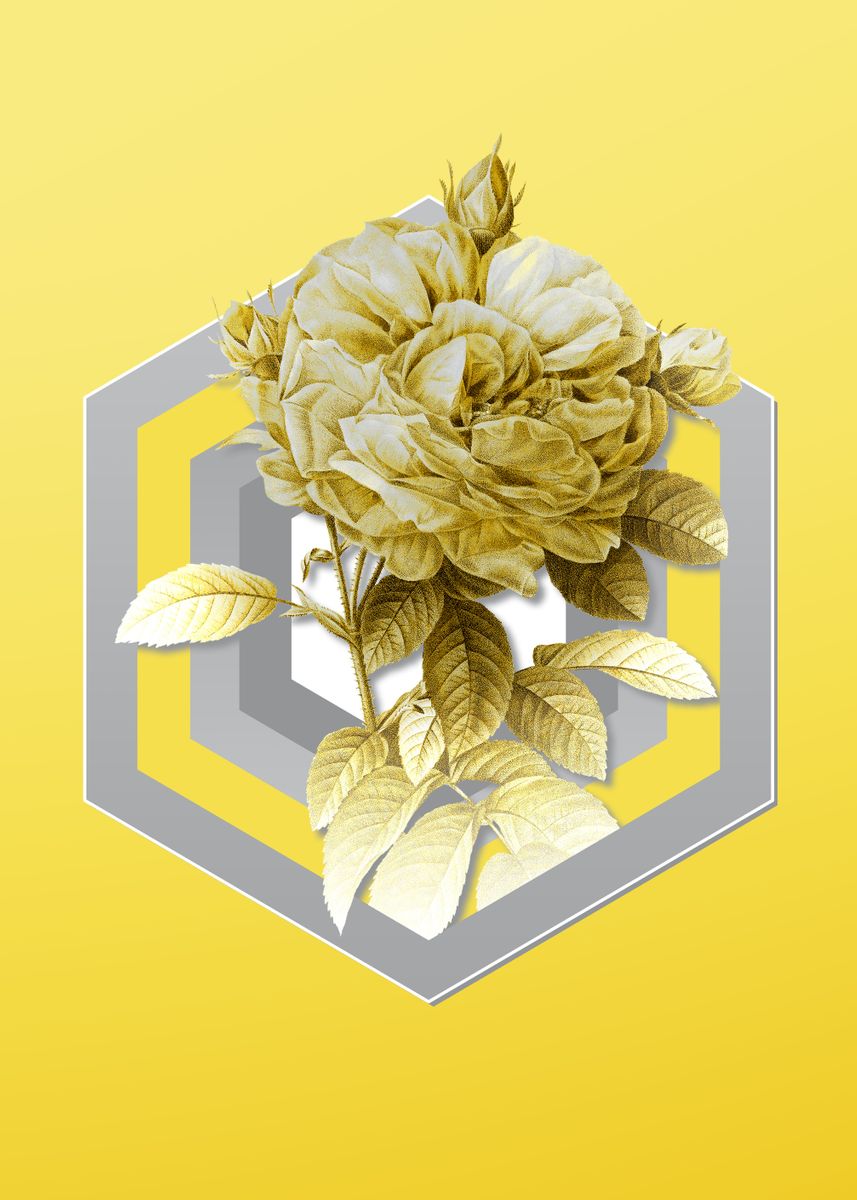 'Yellow Vintage Rose Flower' Poster, picture, metal print, paint by ...