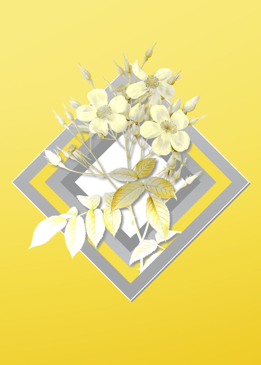 'Yellow Musk Rose Flower' Poster, picture, metal print, paint by Holy ...