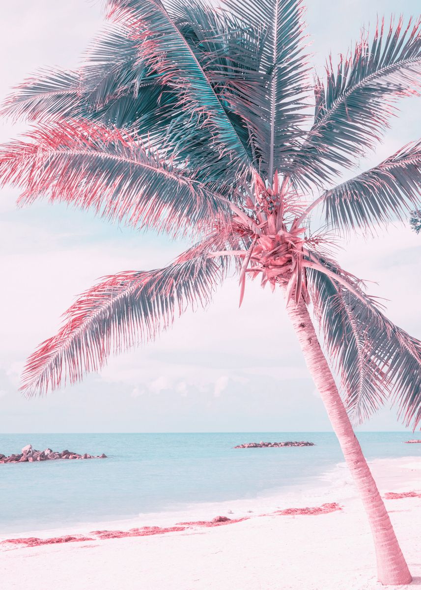 'palm tree beach' Poster by RonnieArts | Displate