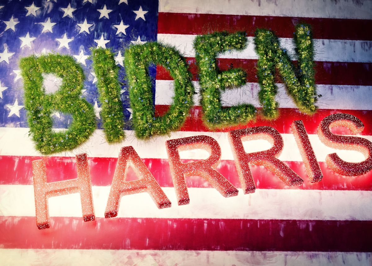 'Biden Harris Flag Scene' Poster by Stefan Langer | Displate