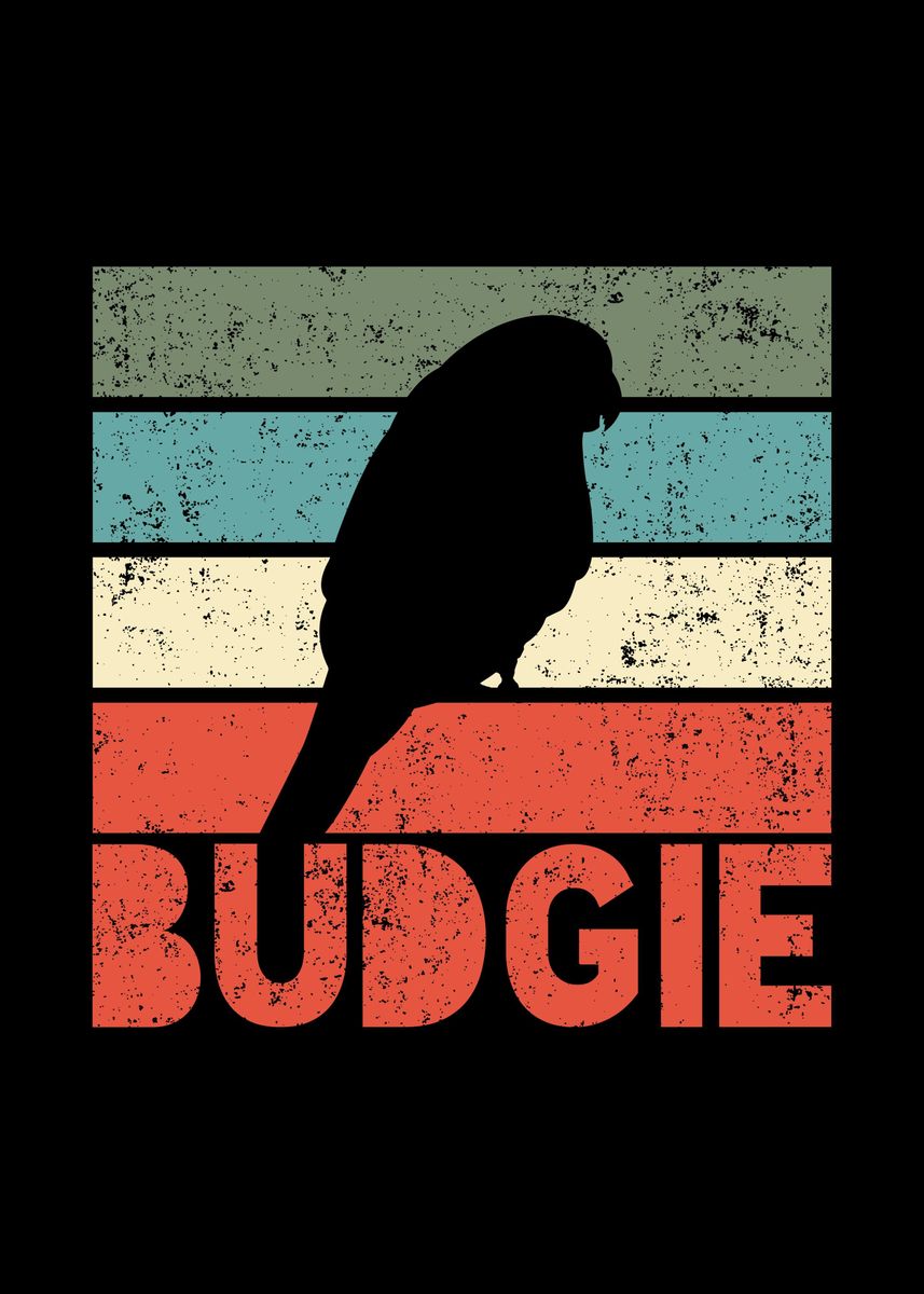 'Budgie Budgerigar Retro Vi' Poster, picture, metal print, paint by ...