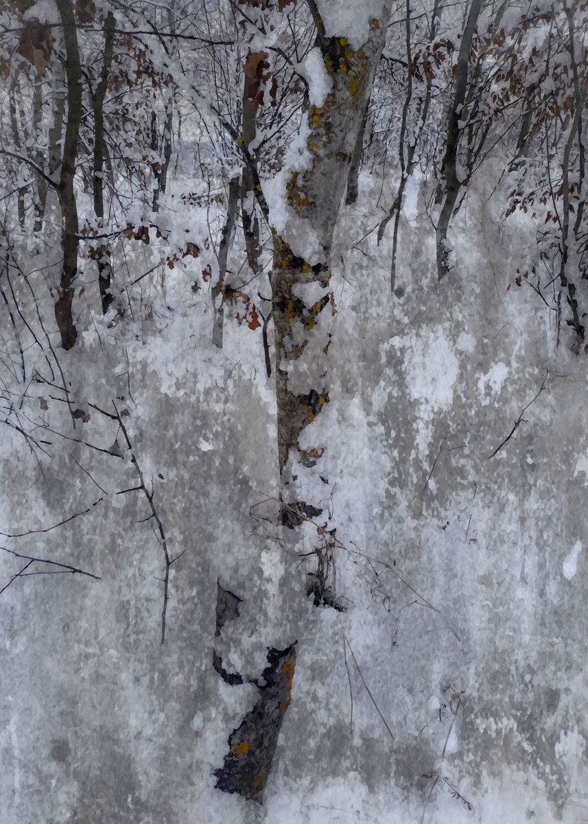 'Trees in the cold' Poster, picture, metal print, paint by Edy Art ...