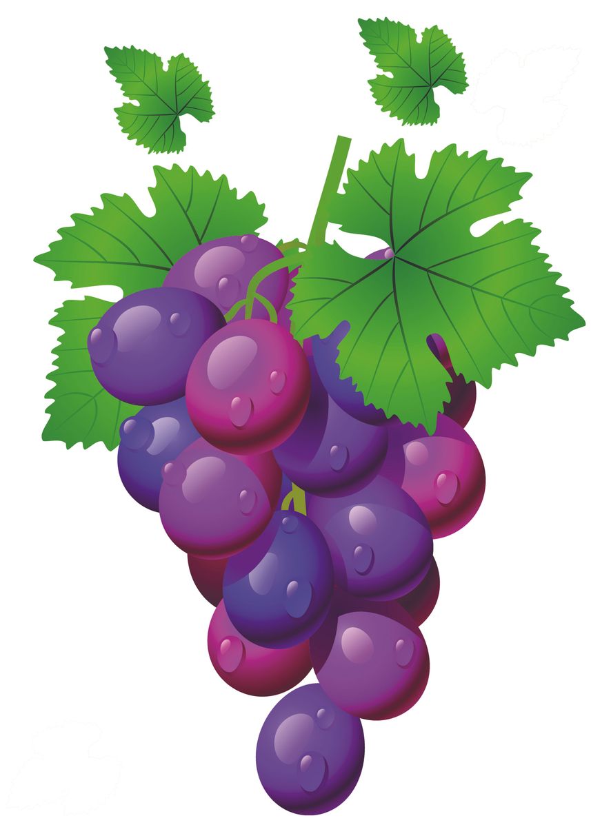 'Grapes' Poster by DwiPurbo Prihantara | Displate