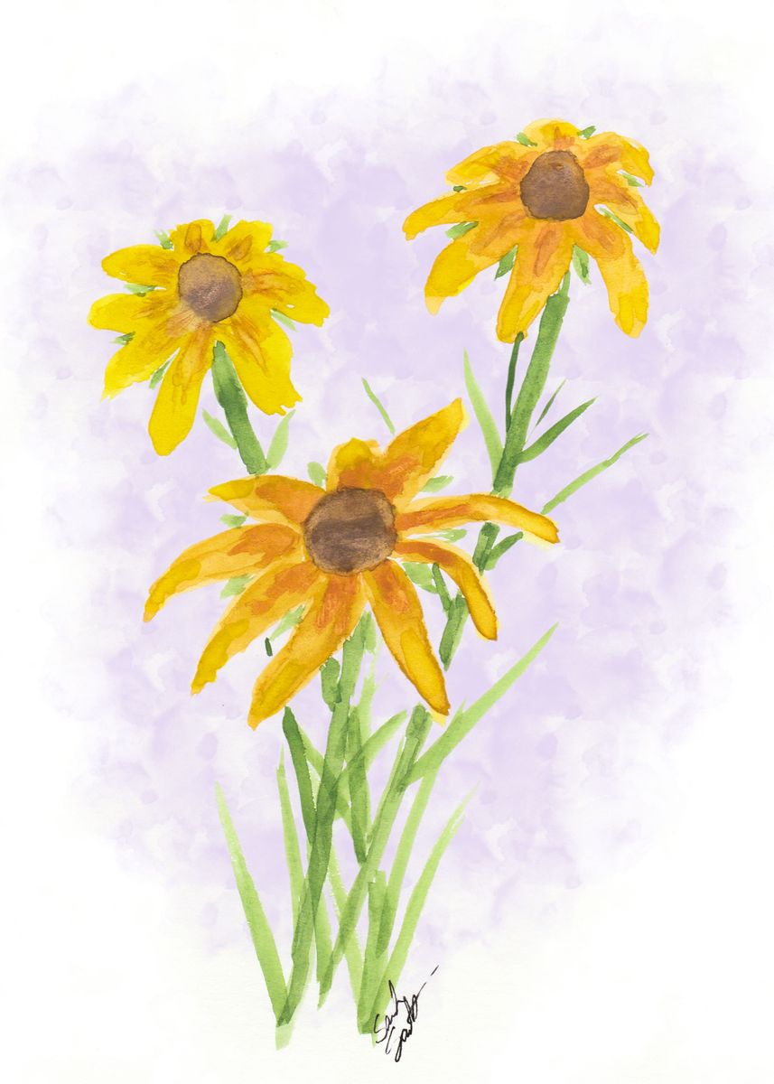 'Black Eyed Susans' Poster, picture, metal print, paint by Sarah Scutt ...
