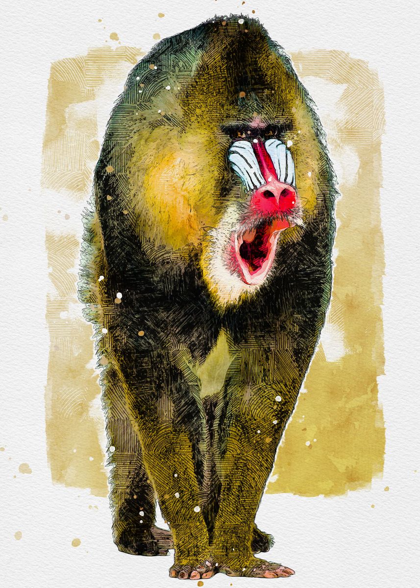 'Colorful Mandrill' Poster, picture, metal print, paint by Maksymilian ...