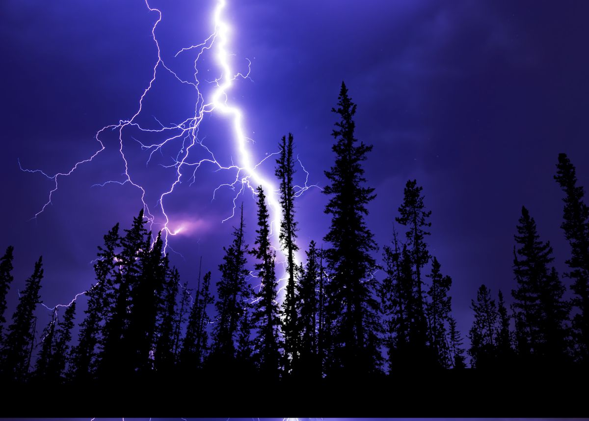 'Lightning' Poster by NATURECO | Displate