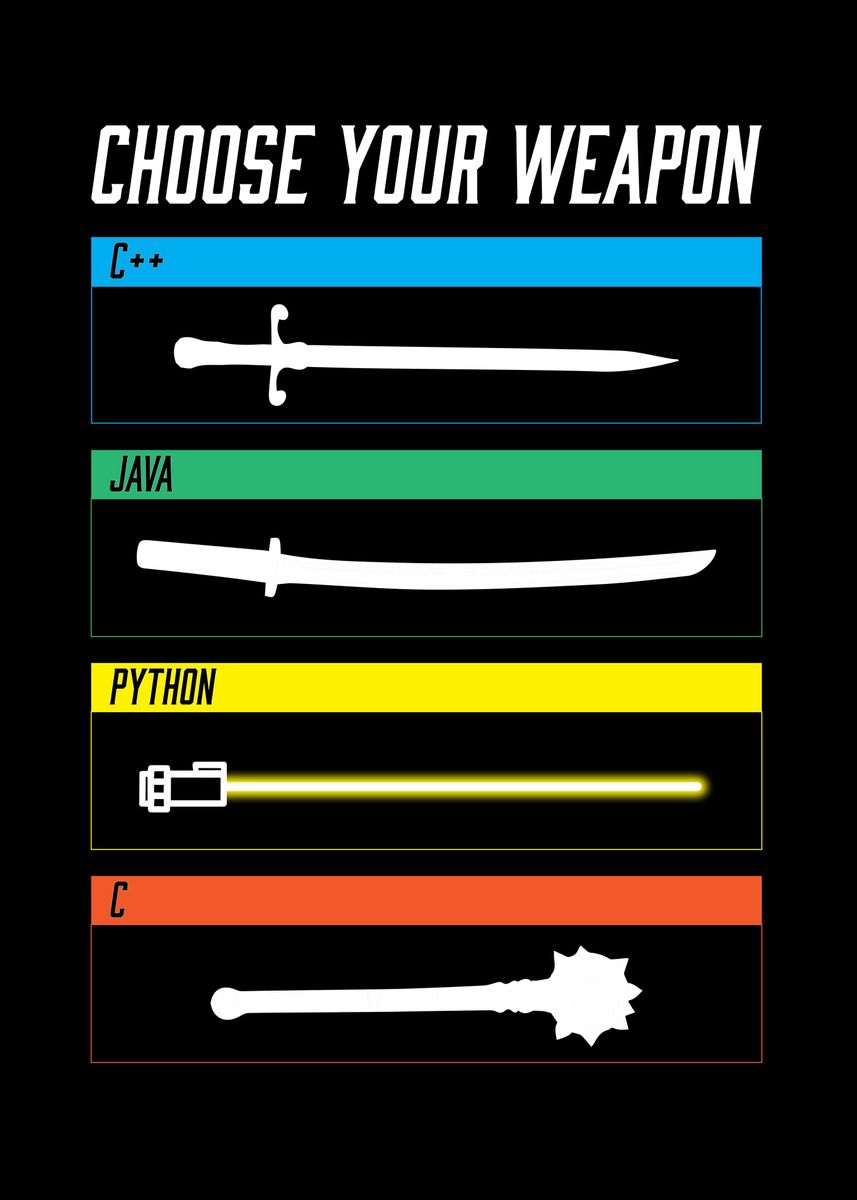 Funny Computer Software Devolper