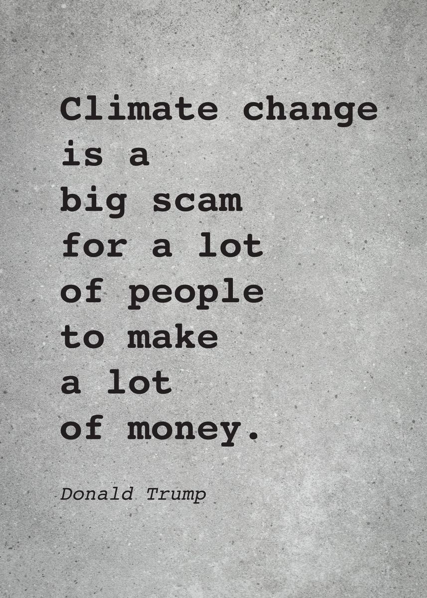 'Donald Trump Quote L009' Poster by Go Fonix | Displate