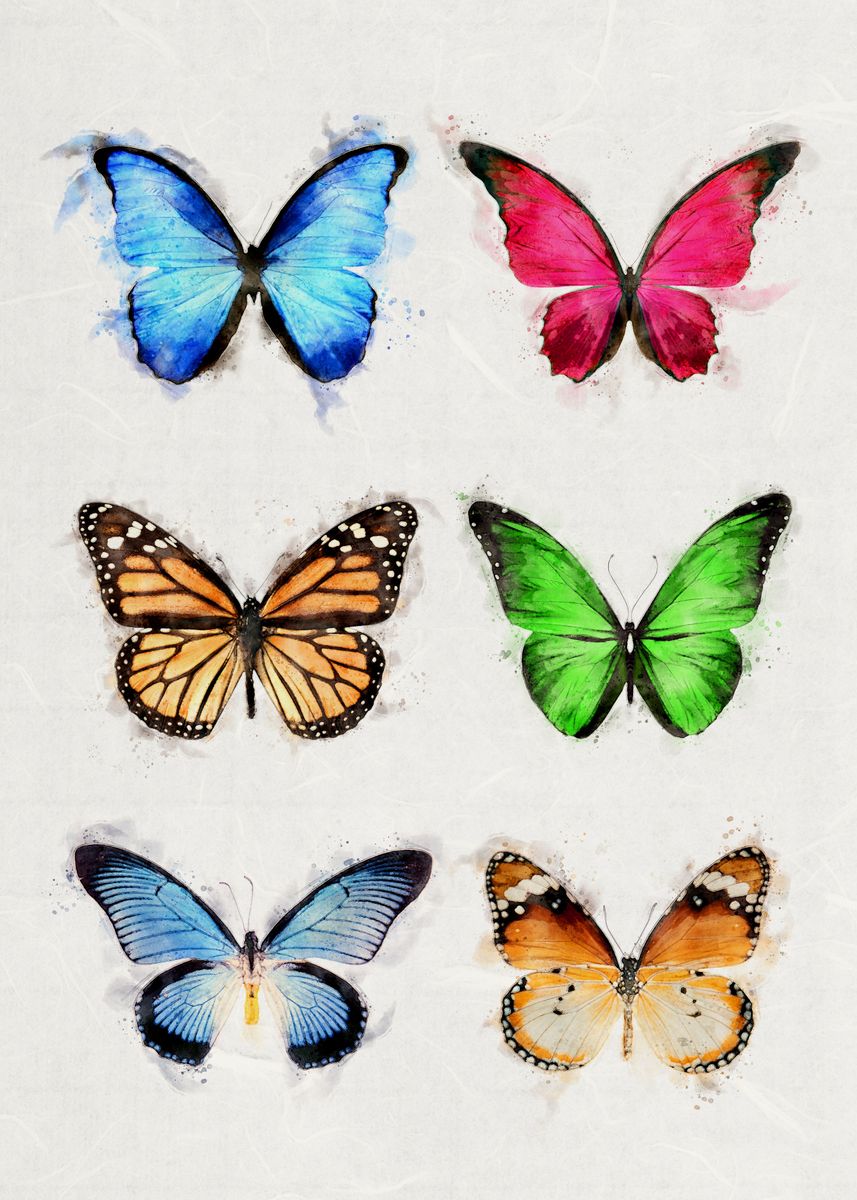 'Colorful Butterflies' Poster, picture, metal print, paint by Ale ...