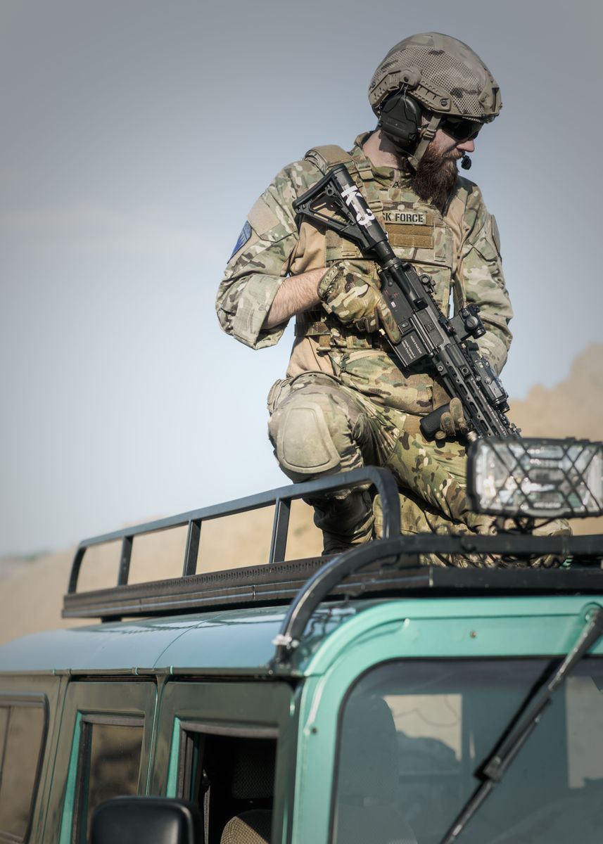 'Military alert ' Poster, picture, metal print, paint by Stephen ...